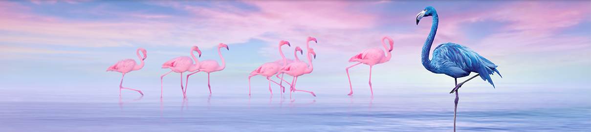 NORTHERA® (droxidopa) for Healthcare Professionals